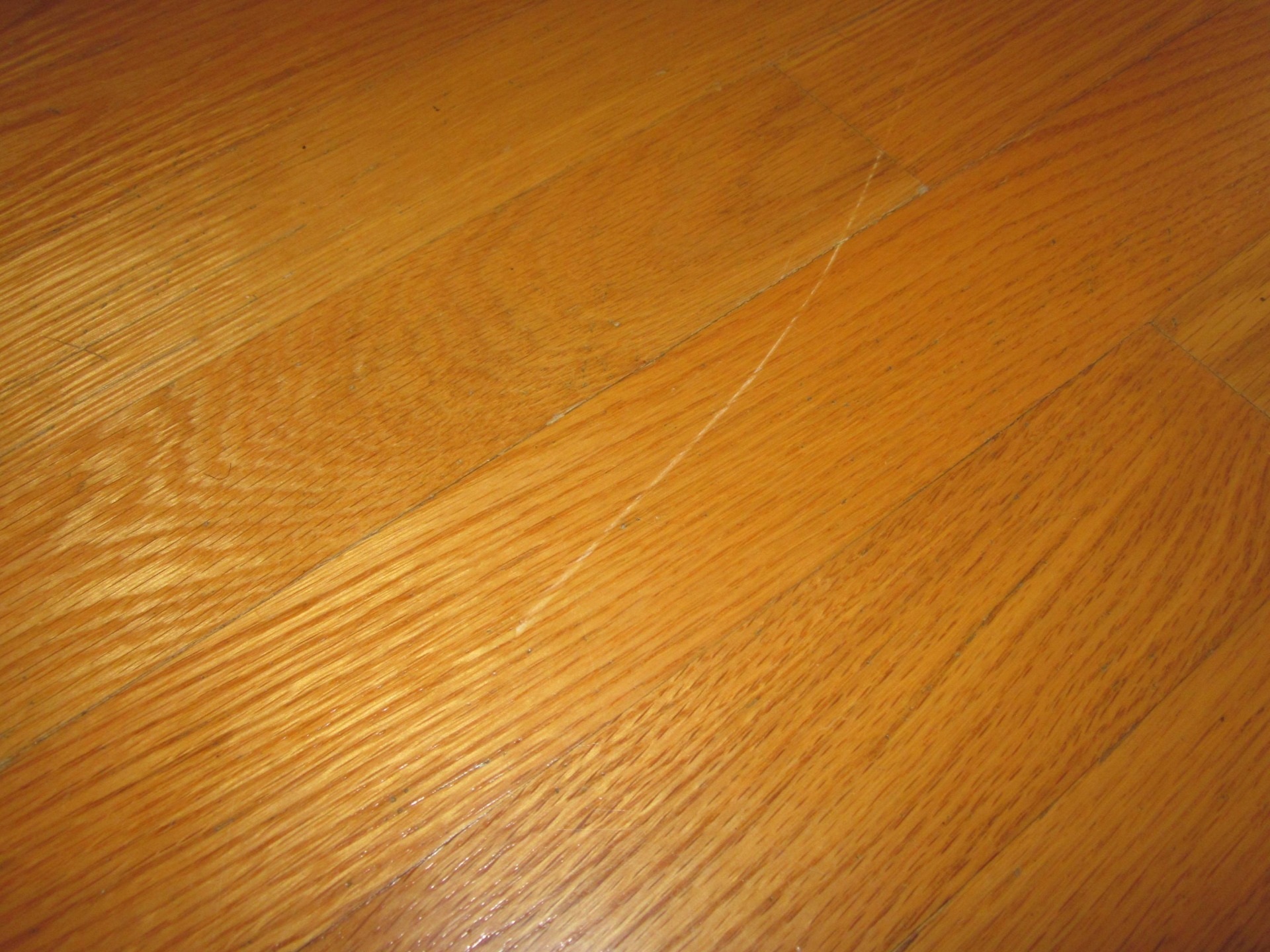 ¿Cómo arreglar el suelo rayado? :: Todoparatuhogar8